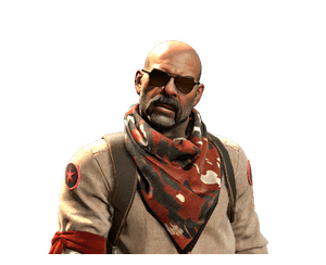 CSGOCASES.COM | NEW AGENT CASE Case