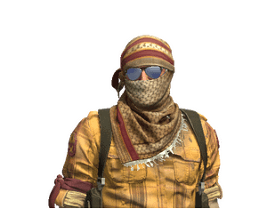 CSGOCASES.COM | Agents Case