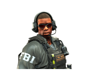 CSGOCASES.COM | 1$ %100 AGENT Case
