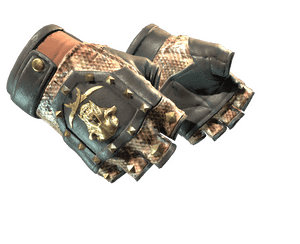 CSGOCASES.COM | GLOVES CASE Case