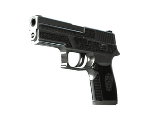 CSGOCASES.COM | VANGUARD Case