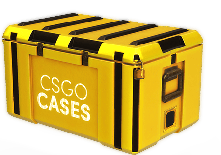CSGOCASES.COM | 1 Second And Win Case