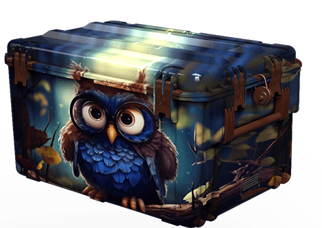 CSGOCASES.COM | Chroma Case