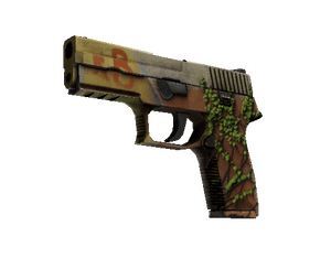 CSGOCASES.COM | CS20 Case